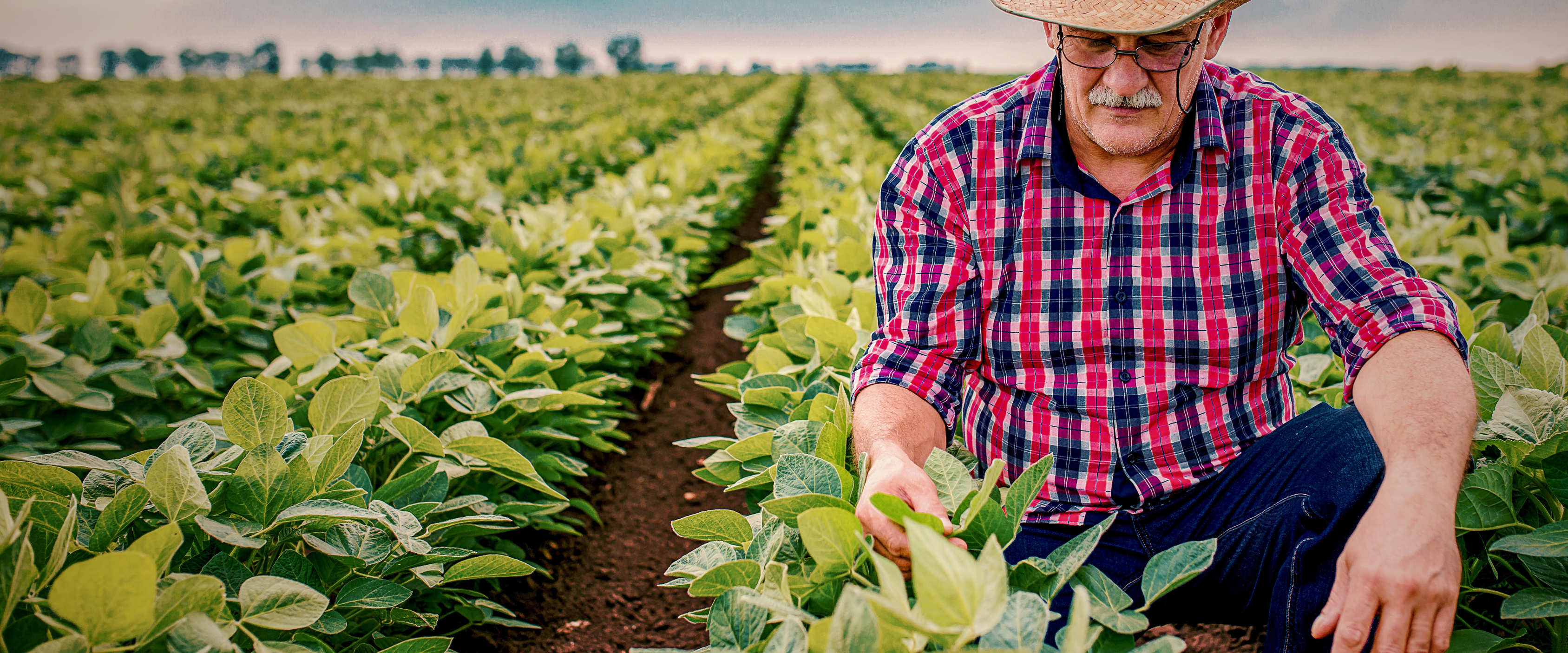 About Us | Background